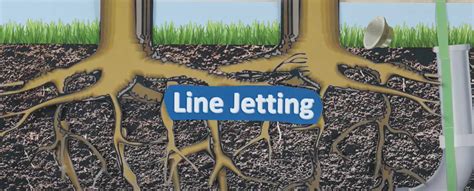 What Is A Sewer Line Cleanout Homeprofy