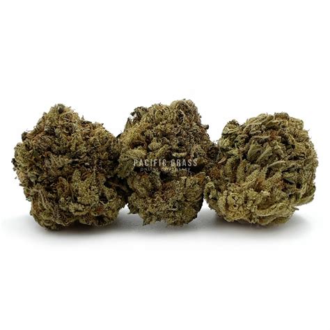 Buy Cali Gas Online In Canada Pacific Grass