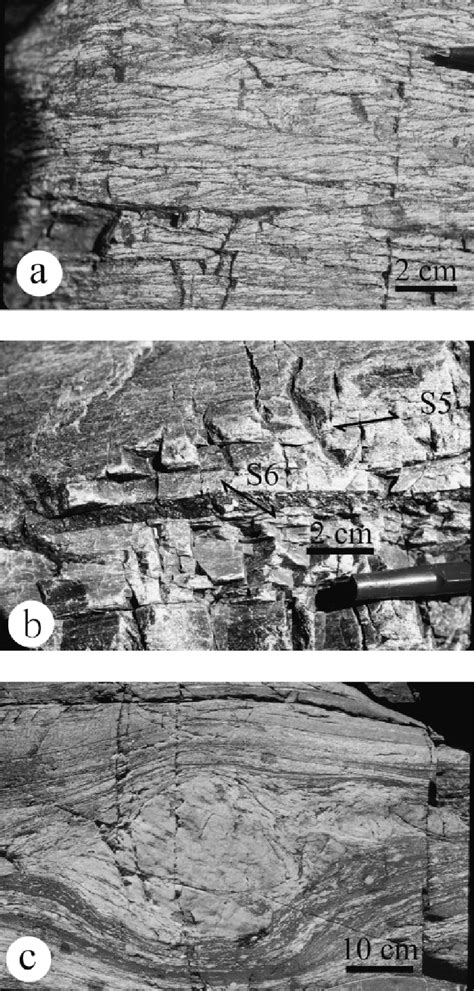 Kinematic Indicators In The Kanairiktok Shear Zone A D 5 C S Fabric Download Scientific