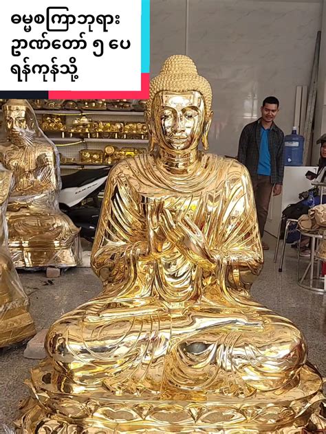 ဓမ္မစကြာဘုရားမစကြာတရား၊ ဉာဏ်တော်၅ပေ Tiktok