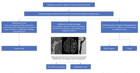 World Stroke Academy On Linkedin Mondaytip Stroke Anticoagulation