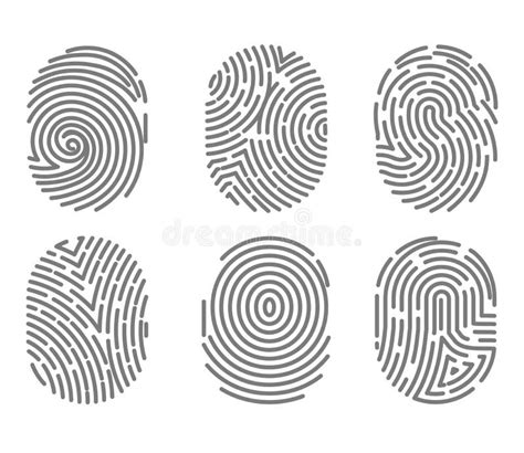 Set Of Fingerprint Types With Twisted Lines Signs Isolated Vector Stock Vector Illustration Of