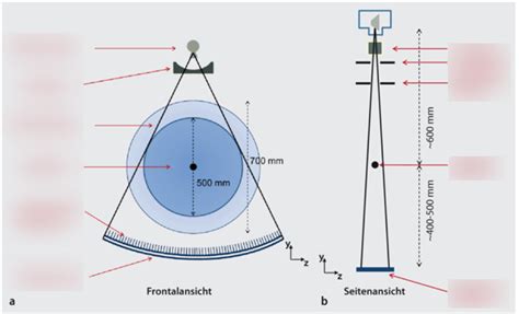 Schaubild „entwicklung Aufbau Und Funktionsweise Von Cts Quizlet