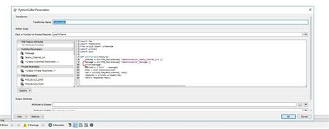 Published Parameters Value In Python Caller In Custom Transformer