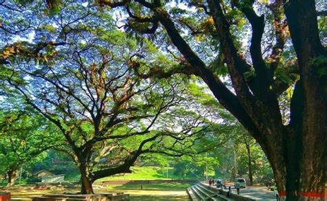 Chittagong College Chittagong College Notice Board