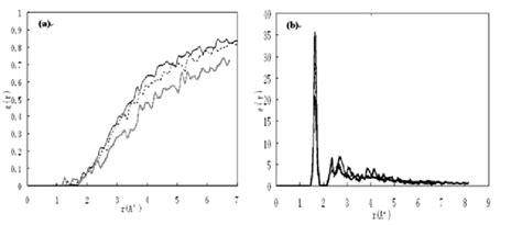 Pair Correlation Functions Gr Fo 6pu Solid Line 12pu Dotted Line