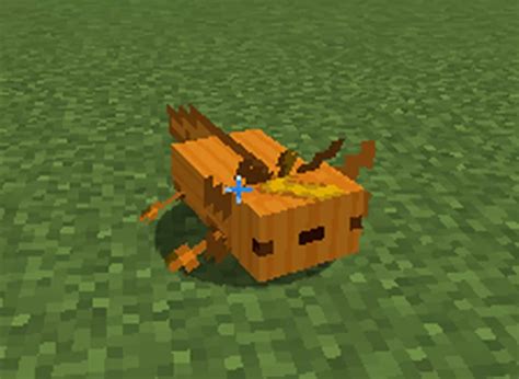 We Are All Pumpkin Ajolote Minecraft Texture Pack