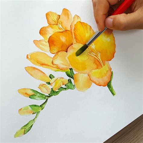 그림깨비 프리지어 수채화 꽃그림그리기 취미미술반 수강생 은정님의 작품~