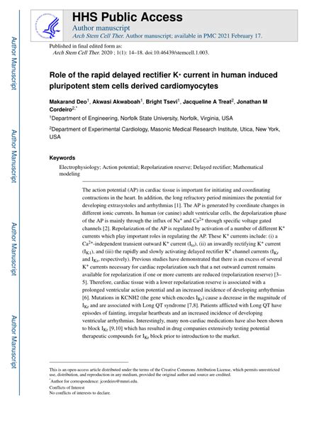 Pdf Role Of The Rapid Delayed Rectifier K Current In Human Induced