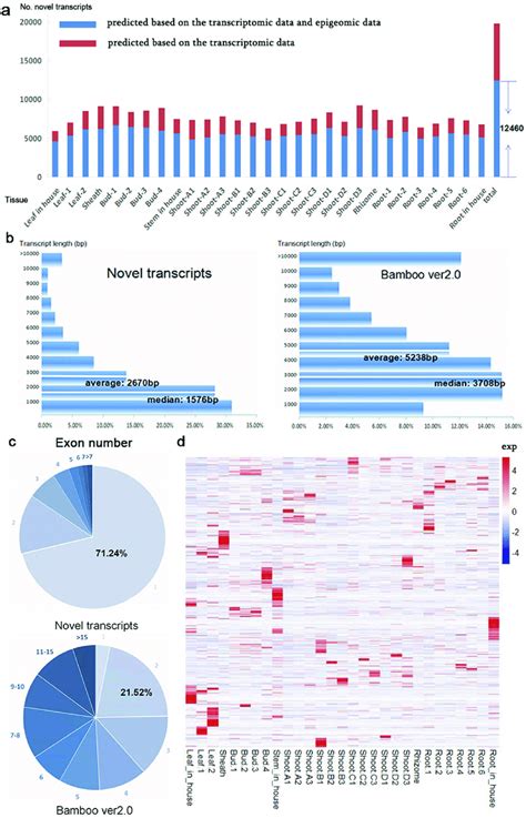 statistics for the novel transcripts and comparison with the latest