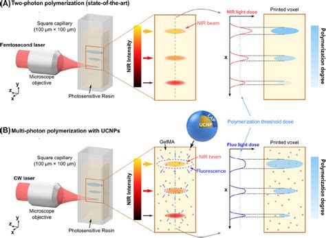 Comparison Between Two Photon Polymerization And Multi Photon Download Scientific Diagram
