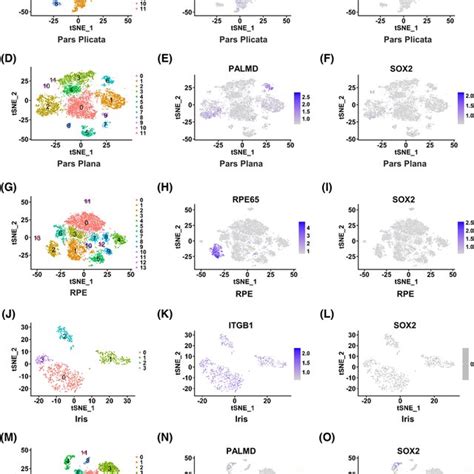Singlecell Profiling Revealed Cell Heterogeneity In Five Tissues The Download Scientific