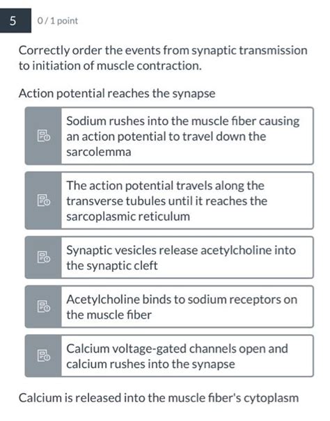 solved correctly order the events from synaptic transmission