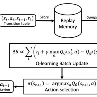 Idealized Normal Forgetting Curve Download Scientific Diagram