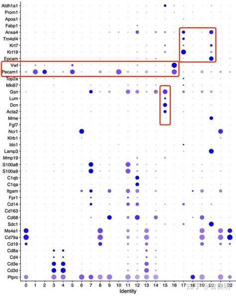 把bulk转录组的差异基因在单细胞水平都检查一遍 知乎