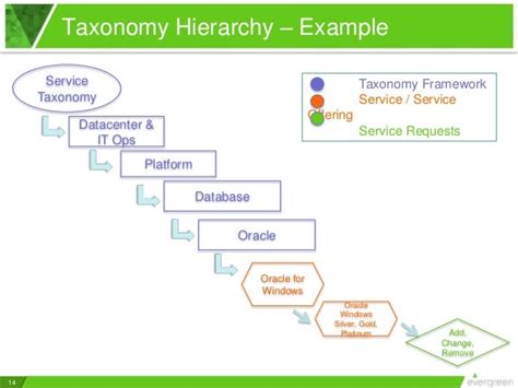 What Is A Service Taxonomy And Why Do I Need One