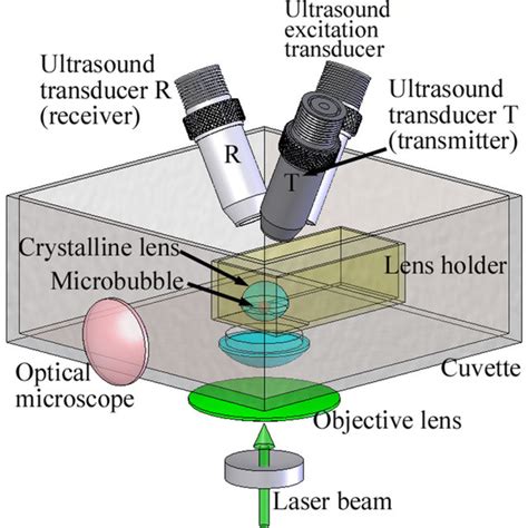 Validation Of Indentation Measurement System A Accuracy Test Of The Download Scientific