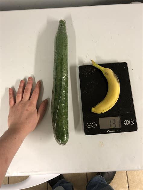 Absolute Unit Of A Cucumber Found At Work Banana For Scale R Absoluteunits