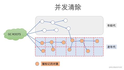 常见的 Gc 算法——parallelandcmsandg1 掘金