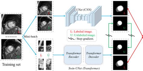 Overview Of Cross Teaching Between Cnn And Transformer Download