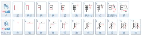 鸭的笔顺 鸭的笔顺怎么写 伤感说说吧
