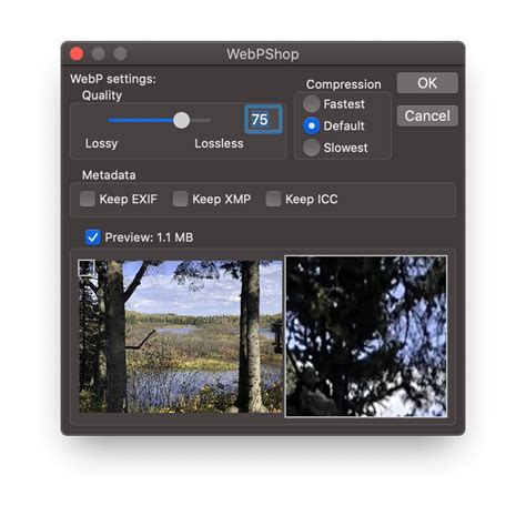 Agora Você Pode Trabalhar Facilmente Com O Formato De Arquivo Webp No