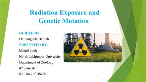 Presentation On Radiation Exposure And Genetic Mutationpptx