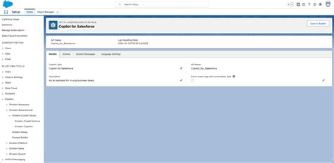 Enable And Customize A Copilot Salesforce Trailhead