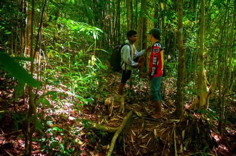 Wwf Philippines Indigenous Communities At The Frontlines Of
