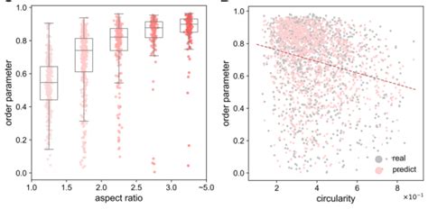 quantitative analysis of the relation between predicted sfs dynamics