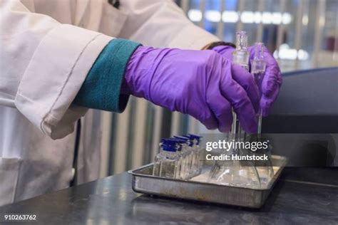 Lab Picker Photos And Premium High Res Pictures Getty Images