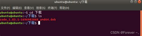 Ubuntu下安装vscode（cc）ubuntu Vscode Csdn博客