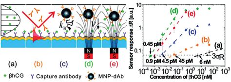 Optical Sensor Monitoring Changes In Refractive Index When Analyte Is Download Scientific