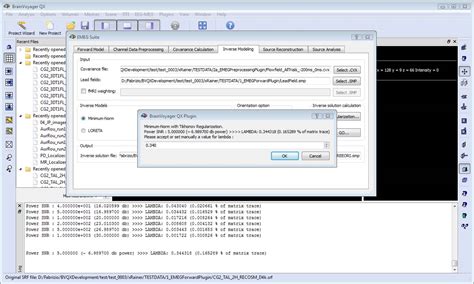 Eeg And Meg Inverse Modeling
