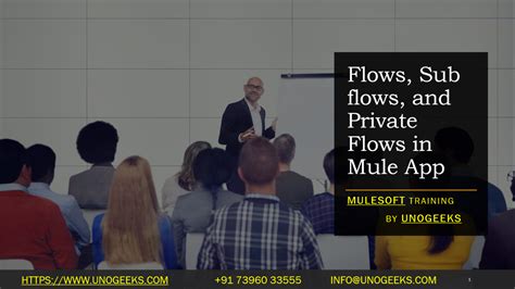 Mulesoft Flow Types Flows Subflows Private