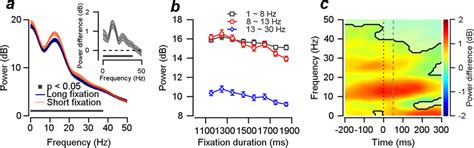 The Effect Of Temporal Expectation On The Local Field Potential