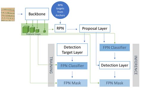 Mask R Cnn Refitting Strategy For Plant Counting And Sizing In Uav Imagery