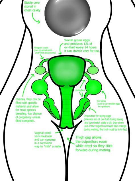 Rule 34 Altitude E Altitude Eneer E Anthro Diphallia Diphallism Female Futanari Herm Humanoid