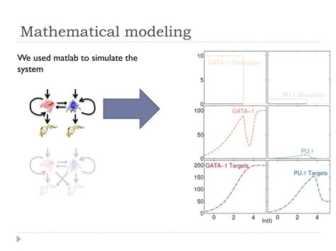 Ppt Introduction To Systems Biology Powerpoint Presentation Free