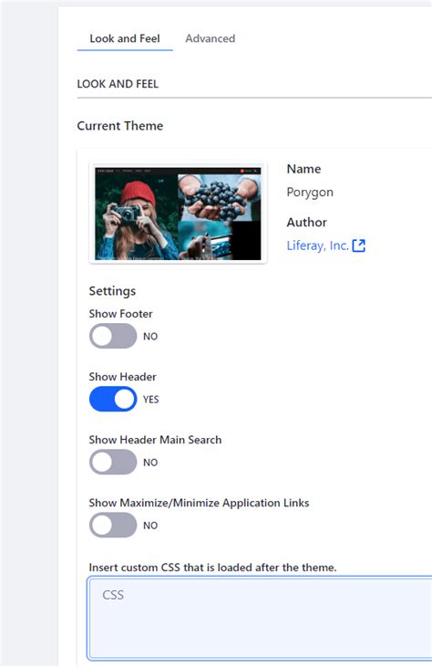 How To Set Up A Global Css For An Entire Page In Liferay Dxp Stack