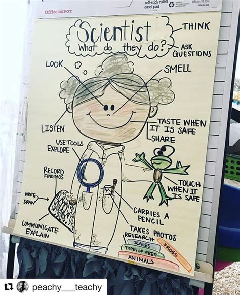 Awesome Science Anchor Chart By Peachy Teachy What Are Some Of