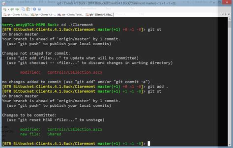 Mvc Git Add Dot Doesnt Obey Gitignore Or My Patterns