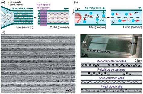 High Throughput Particle Manipulation Based On Hydrodynamic Effects In