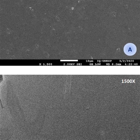 Microstructure Of The Thin Films Conjugated With Nac A And With The