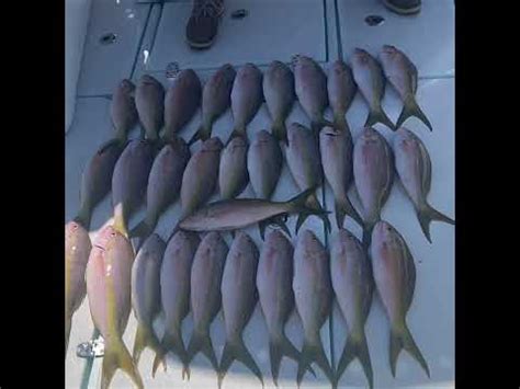 Reef Fishing In Tough Conditions YouTube