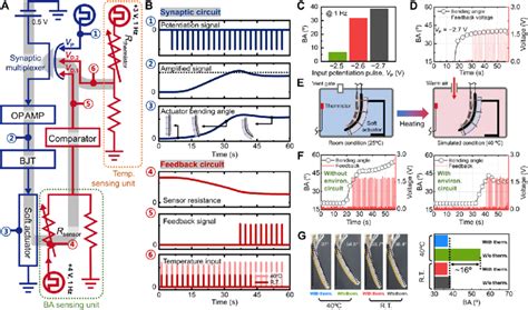 Operation Of A Closed Loop Control System Based On Artificial Synaptic