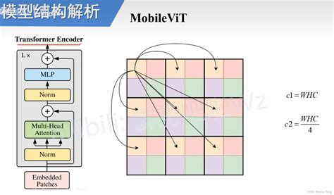 第十八章 Mobilevit网络详解 Csdn博客