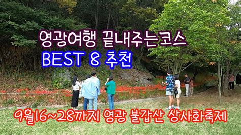 영광여행끝내주는코스best8추천 지금은상사화축제중백수해안도로불갑산상사화축제불갑사칠산타워천일염전가마미해수욕장백제불교