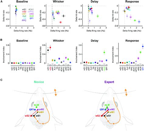 Task Epoch Specific Involvement Of Cortical Regions A Trial Specific Download Scientific