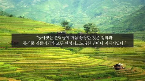 농경의 배신 YouTube